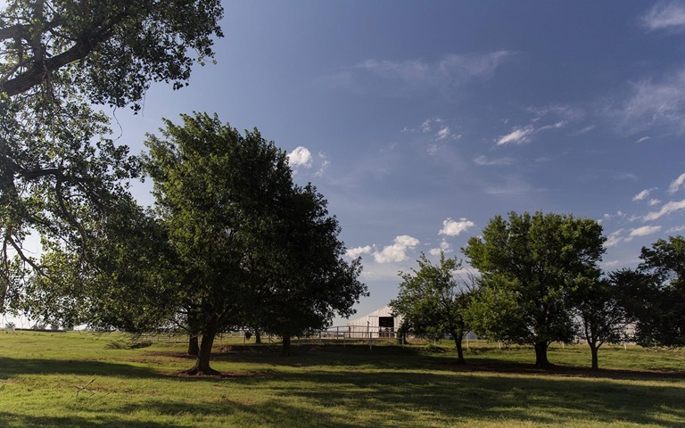 Central Life Sciences | History